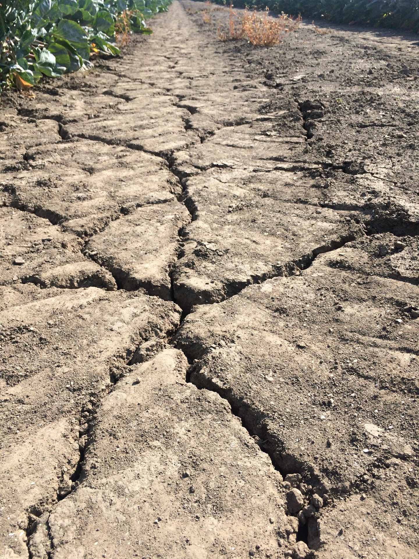 Transformer in onderzoek - Van de Grond